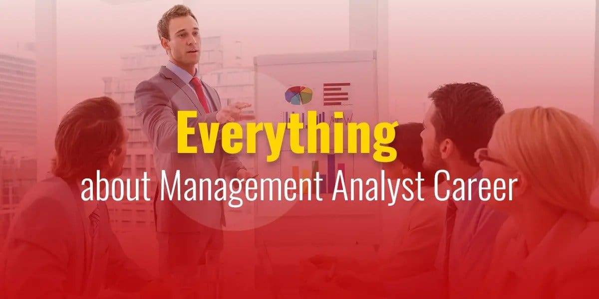 Everything about Management Analyst Career - AEC
